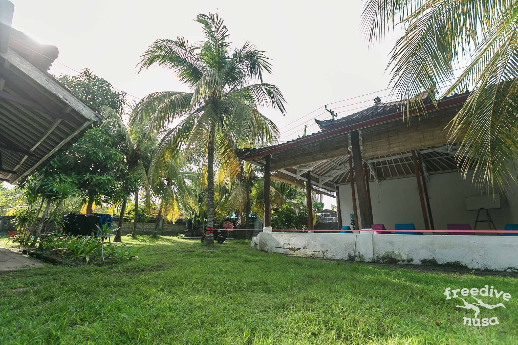 Freedive Nusa - Freediving School on Nusa Penida Island (Bali, Indonesia)