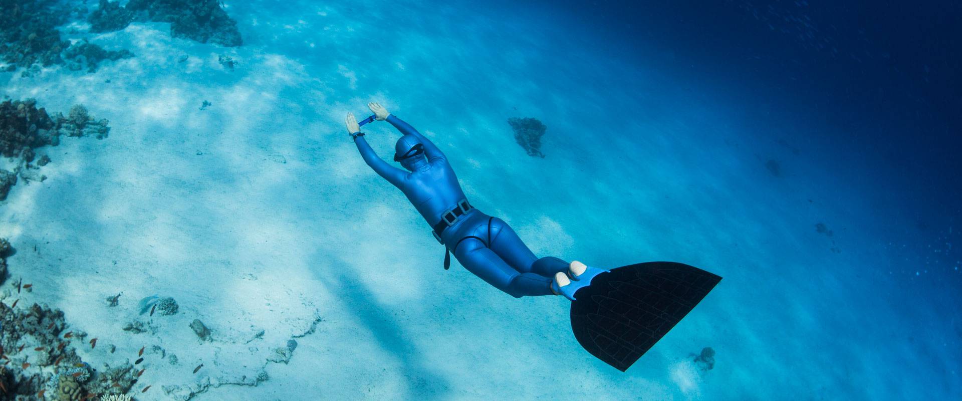 Freediving Master Course - One-Month Training Program | Freedive School ...