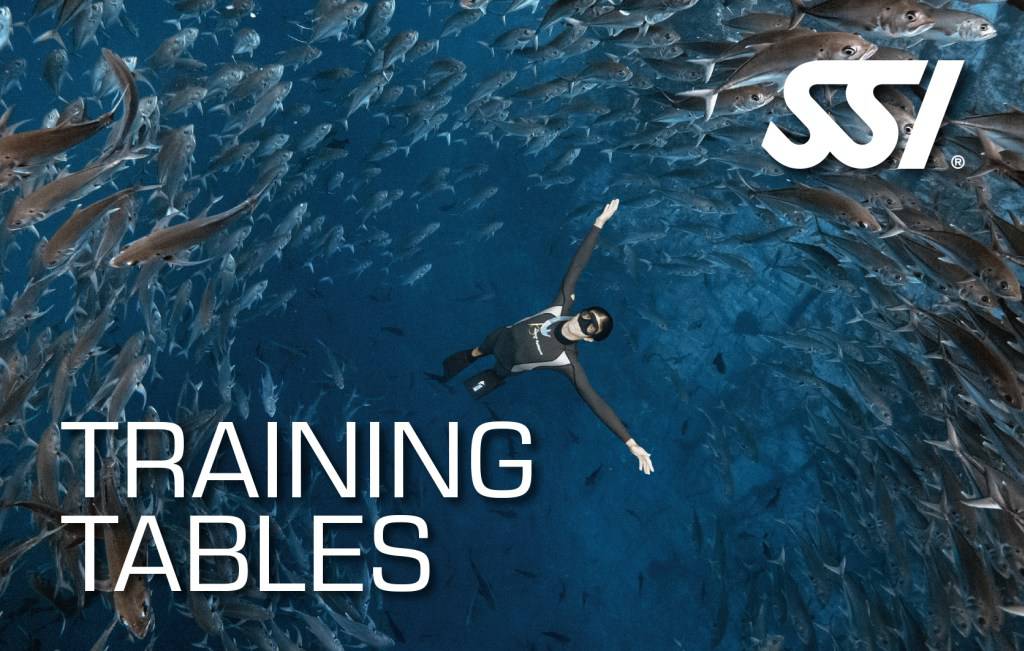 SSI Training Techniques Specialty | Freediving School in Bali Indonesia