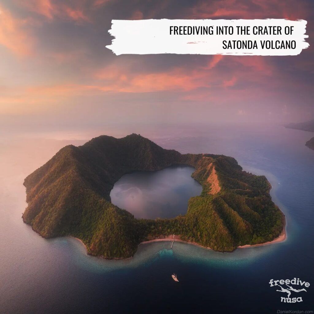 Swimming with Whale Sharks in Sumbawa | Freedive with Whale Sharks