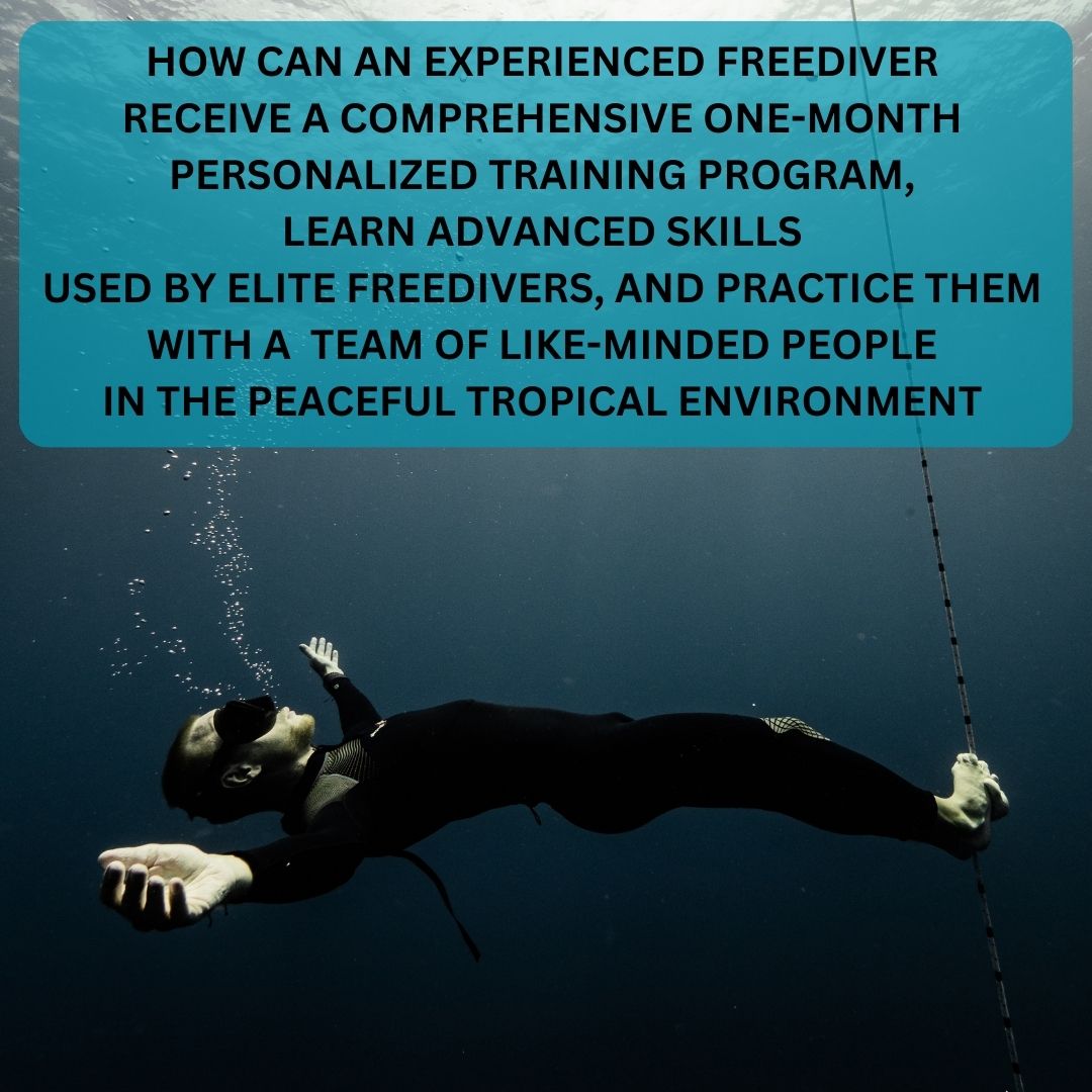 Freediving Master Course - One-Month Training Program | Freedive School ...