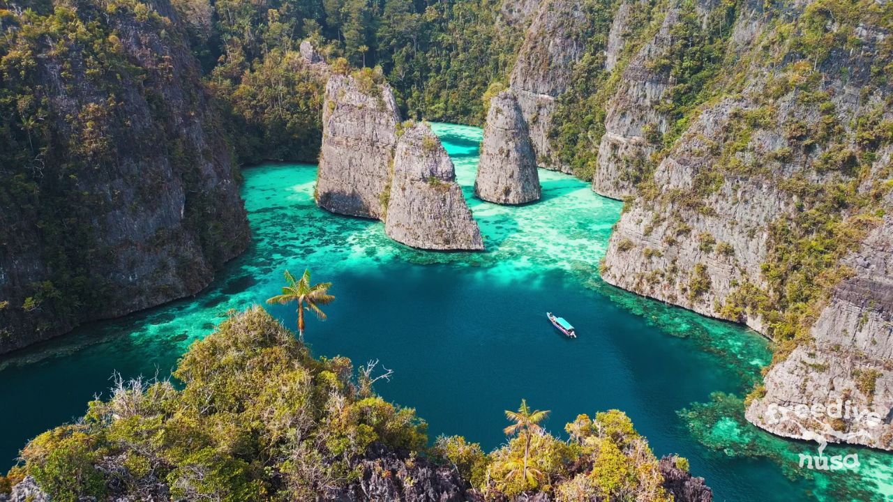 Freedive Trip to Misool - Freedive Nusa - Freediving School on Nusa Penida