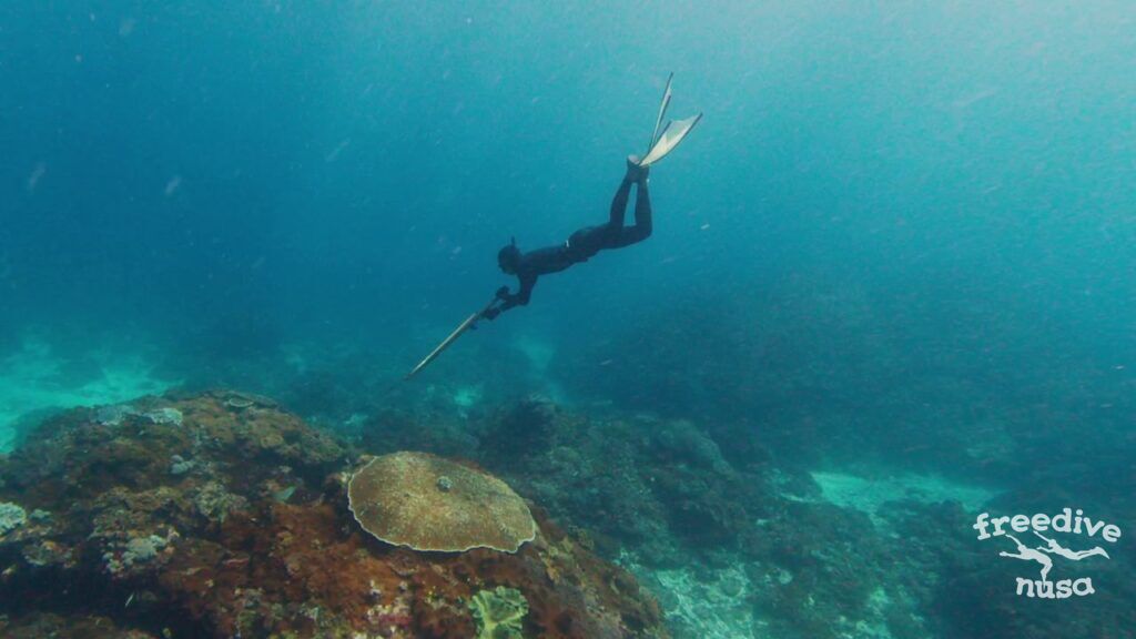 What is Freediving | Freedive Nusa | Freediving School in Bali