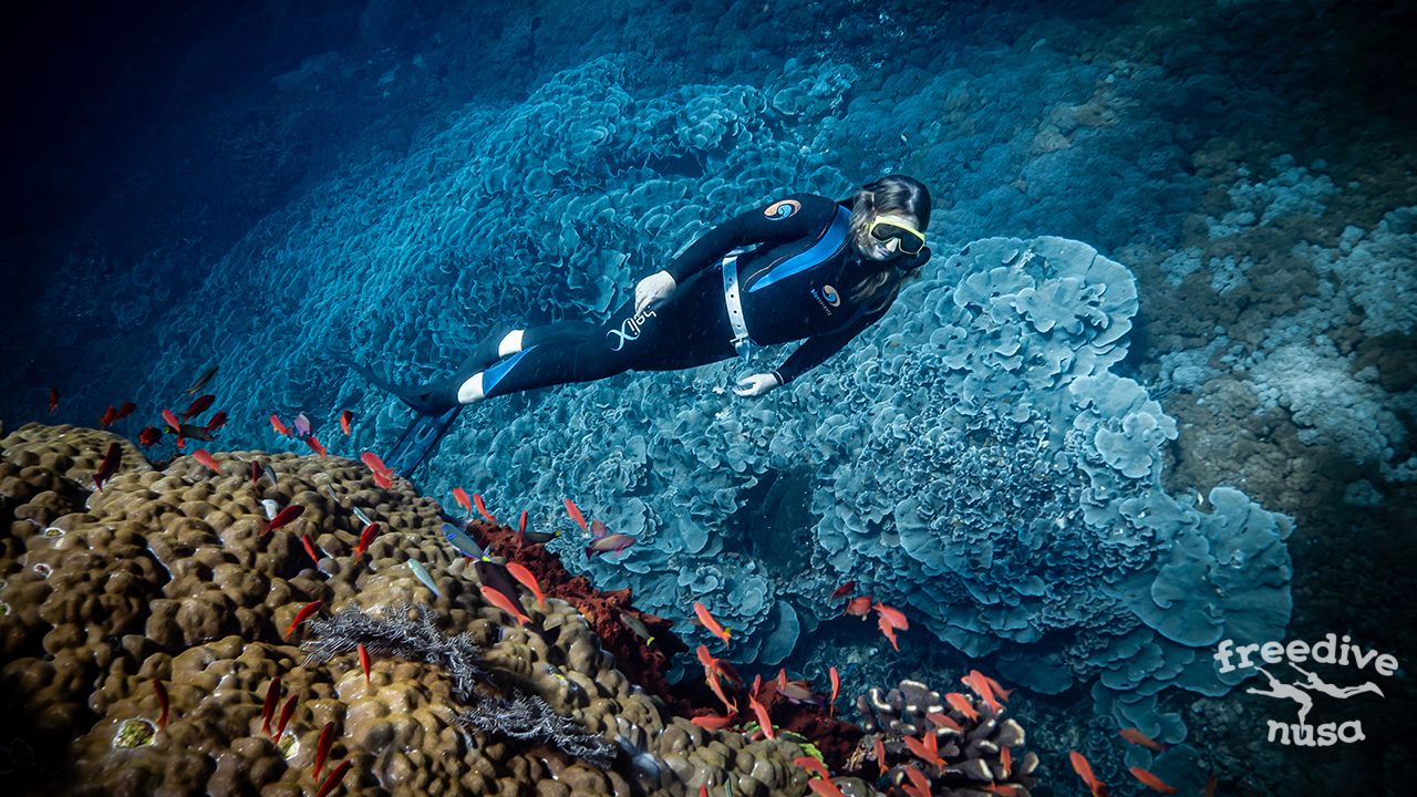Risks of Freediving and How to Avoid Them - Freedive Nusa - Freediving ...