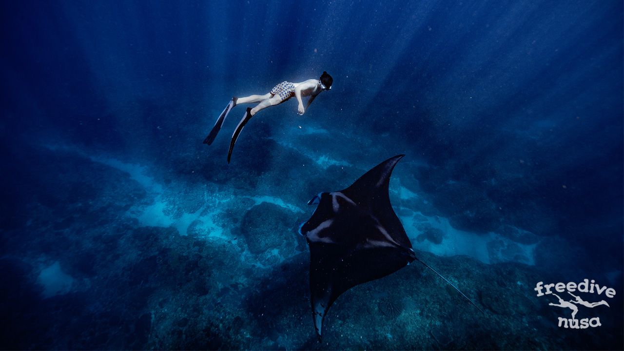 Why You Need a First Aid Course - Freedive Nusa - Freediving School on ...