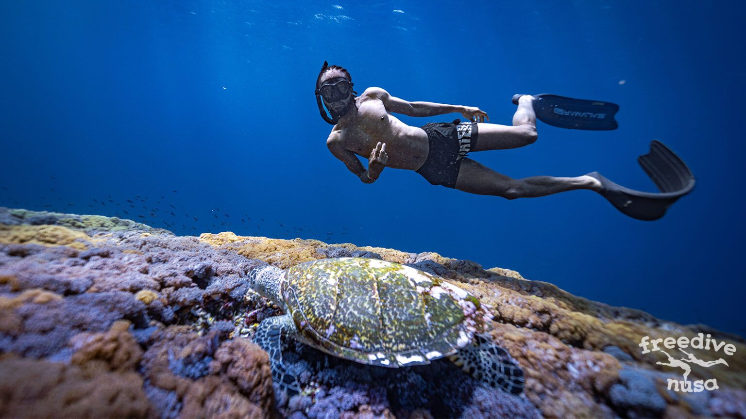 Choosing the Best Freediving Fins - Freedive Nusa - Freediving School ...