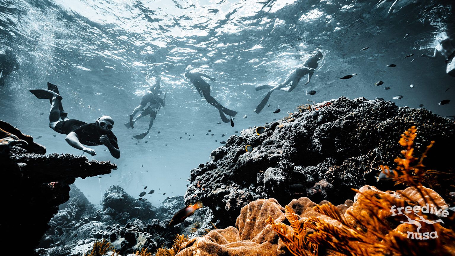How to Start the Career of a Freediving Instructor - Freedive Nusa ...