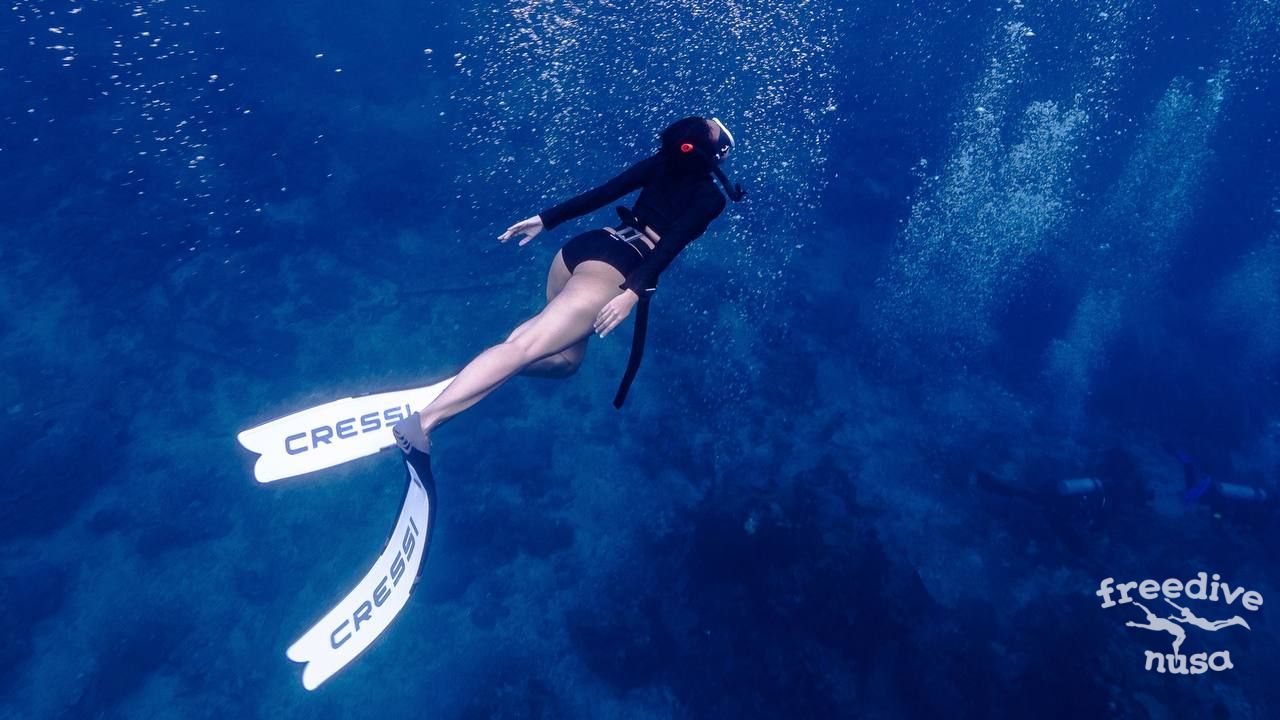 Freediving vs. Scuba Diving: Choosing Your Underwater Adventure ...